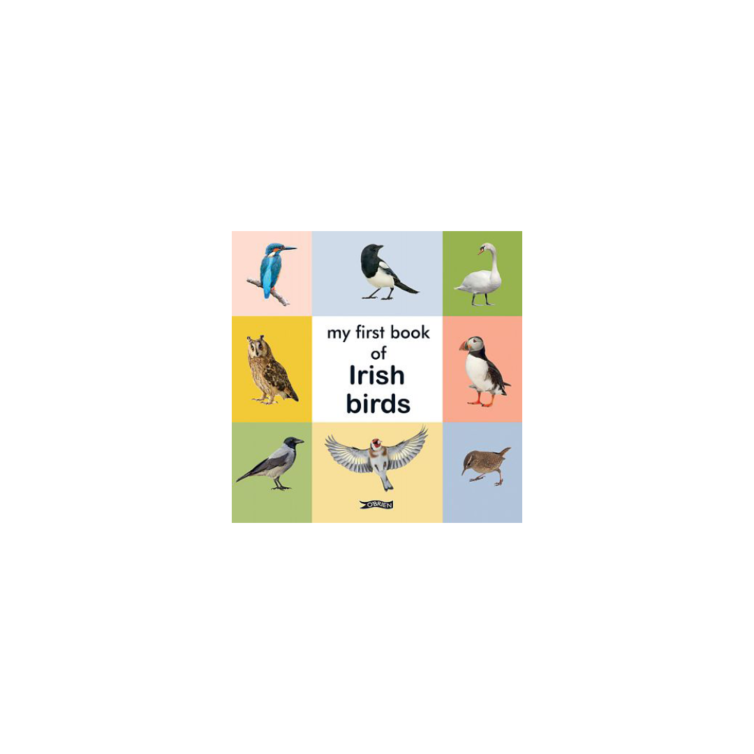 First Book of Irish Birds – MoLI
